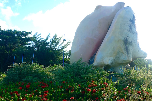 Le lambi, un symbole des Antilles - Family Evasion