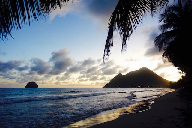 Le lambi, un symbole des Antilles - Family Evasion