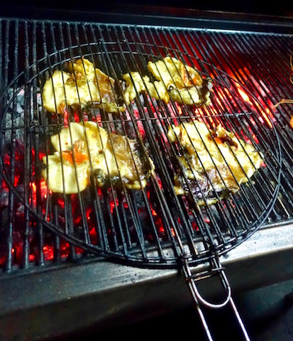 Le lambi, un symbole des Antilles - Family Evasion