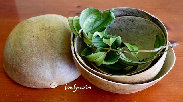 Calebasse, un jeu de lumières embrasées ! - Family Evasion