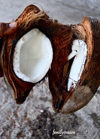 Tablettes coco ou sik à coco, une douce friandise - Family Evasion