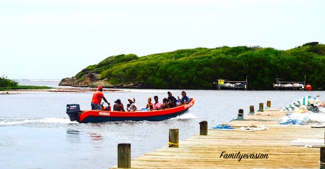 Anse Michel et cap Chevalier : passage obligé de la Trace des Caps ...