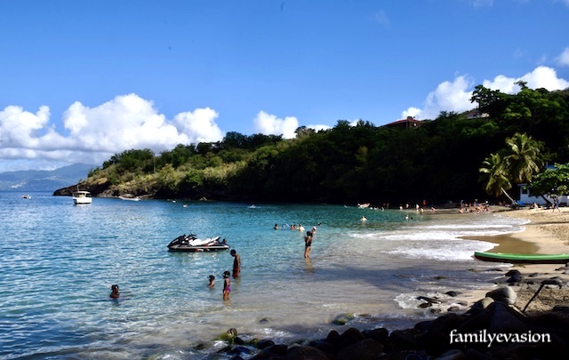Grande Anse à l’anse Dufour : à la recherche des mares temporaires ...