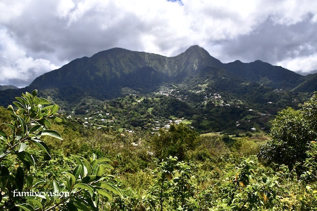 Toboggan du Carbet… depuis Morne – Vert ! - Family Evasion