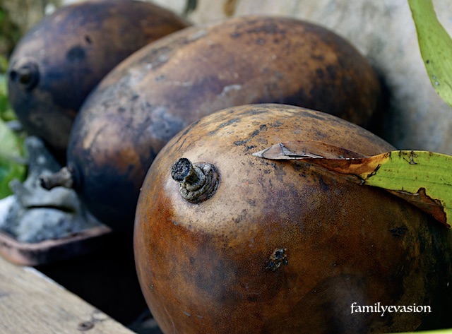Calebasse, un jeu de lumières embrasées ! - Family Evasion
