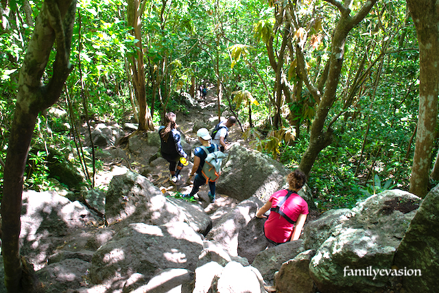 Morne Larcher au Diamant, une rando qui se mérite ! - Family Evasion