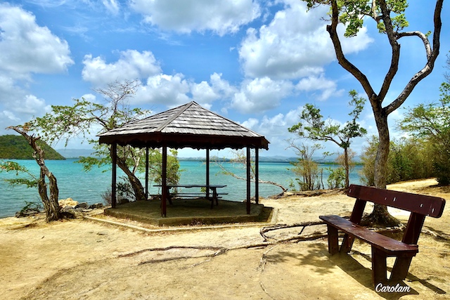 Forêt Vatable, la balade instructive ! - Family Evasion