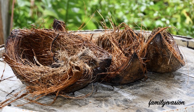 Quand le flan fait son coco … - Family Evasion
